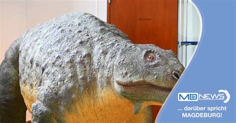 Saurierspurenfunde im Magdeburger Museum für Naturkunde Magdeburger