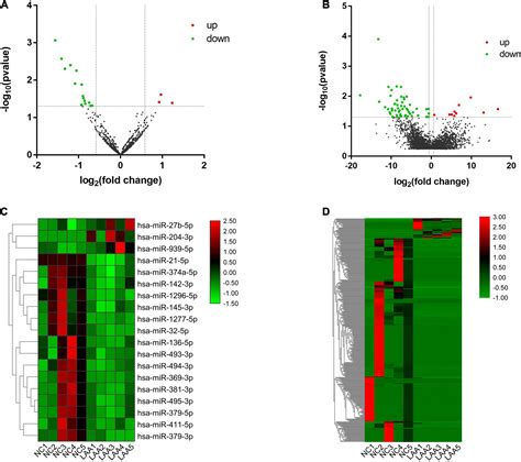 Frontiers Comprehensive Analysis Of Peripheral Exosomal CircRNAs In
