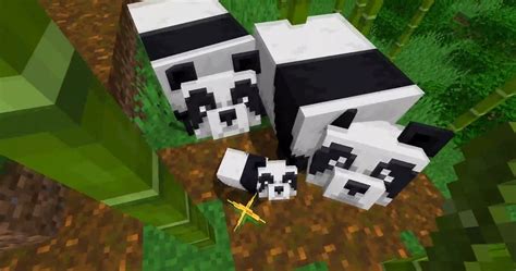 Erősítő rés Kiegyenesedik minecraft normal panda Szállás vasúti kocsi Ordít