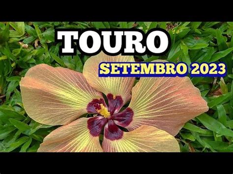 TOURO SETEMBRO 2023 Uma força milagrosa vai tocar sua vidaVocê vai