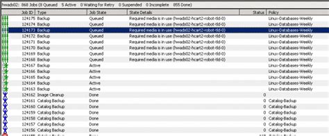 solved netbackup only writes to one drive vox
