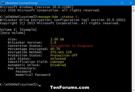 bitlocker status hot sex picture