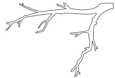 Branch Coloring Page