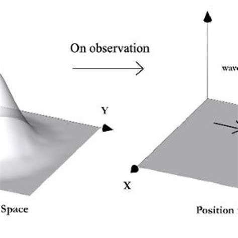 the collapse of wave function phenomenon illustration credit download scientific diagram