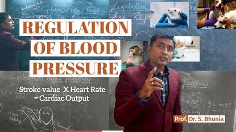 REGULATION OF BLOOD PRESSURE Physiology By Dr S Bhunia UPUMS