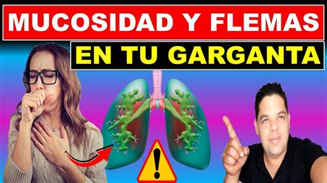 MUCOSIDAD Y FLEMAS Crónicas En La Garganta Lo Que Debes Saber Para