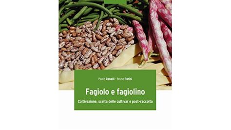 I 5 Migliori Libri Sui Fagiolini Notizie Scientifiche It