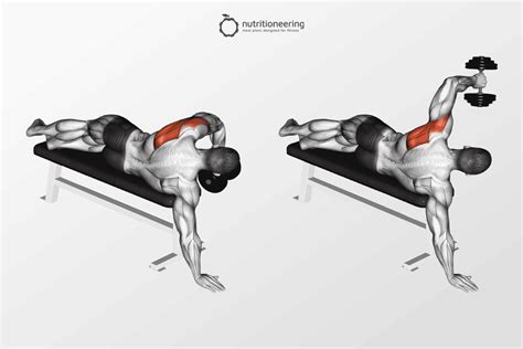 Dumbbell Front Fly By John Exercise How To Skimble Atelier Yuwa Ciao Jp