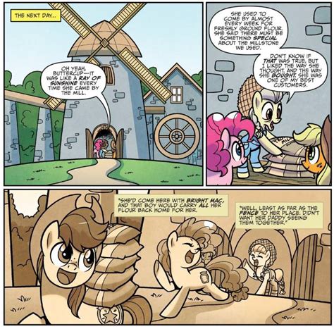 1877082 Safe Artist Agnesgarbowska Idw Applejack Bright Mac