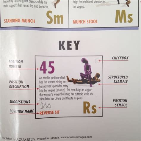 periodic table of sex hobbies and toys toys and games on carousell