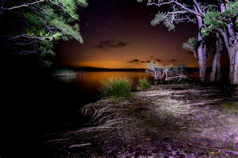 Fotos gratis paisaje árbol naturaleza bosque desierto ligero