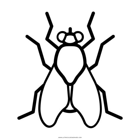 Mosca Desenho Para Colorir Ultra Coloring Pages