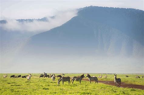 Ngorongoro Crater Wallpapers Images Inside