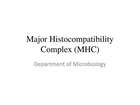 Ppt Major Histocompatibility Complex Mhc Powerpoint Presentation
