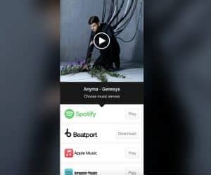 Examples Of Instagram Link In Bio Pages Design And Use Embedsocial