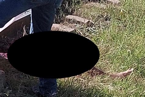 Muere al ser arrollado por el tren en Tejería Veracruz xeu noticias