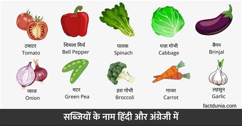 Vegetables Name In Hindi English
