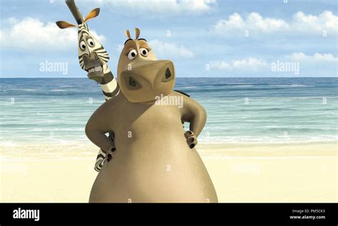 Film Still Publicity Still From Madagascar Marty The Zebra Gloria The Hippo © 2005 Dream