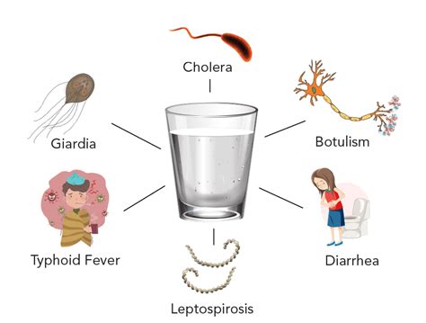 Common Water Borne Diseases In India Treatment Prevention