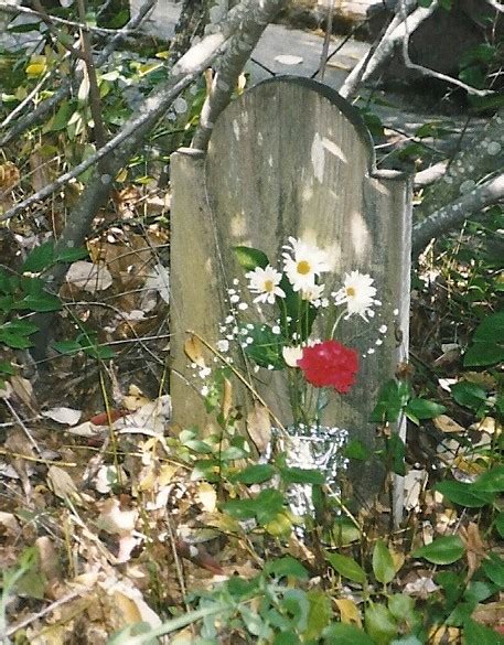 Photos Of William Cooper Graves Find A Grave Memorial