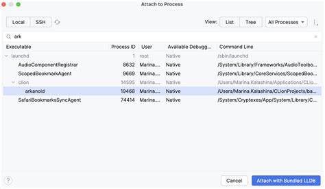 Attach To Process Clion Documentation