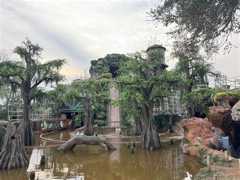 Photos Briar Patch Turned Into Swamp At Tianas Bayou Adventure In