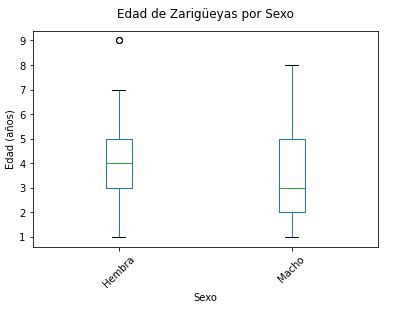 Crear Un Diagrama De Caja Con Matplotlib Python Panda Vrogue Co Hot