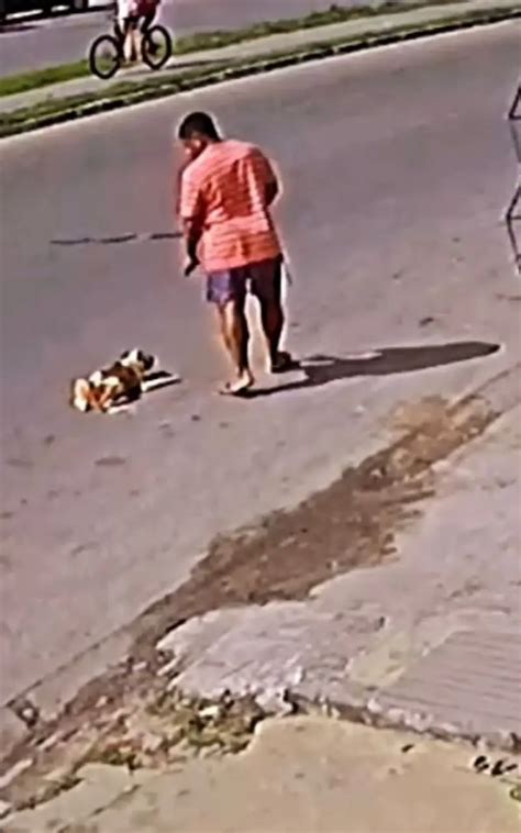 Homem é preso por bater vara em cachorro e arrastá lo em Campos