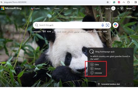 How To Play Bing Homepage Quiz Techyorker