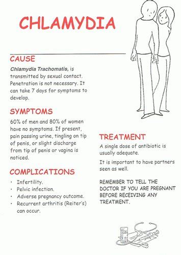 Understanding Chlamydia Symptoms Diagnosis And Treatment 51 Off