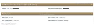 How To Check Your UAE Visa Status With Passport Number UAE Expatriates
