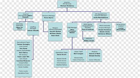 Organizational Chart Human Resource Management System Business