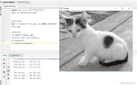python opencv图片基本操作：读取像素值、图片展示 python opencv获取图像中间kernel像素 csdn博客
