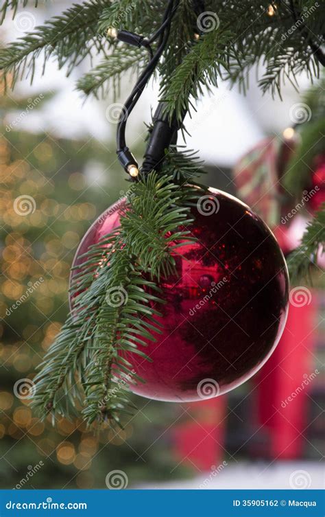 Christmas Red Ball Hanging On A Fir Branch Stock Photo Image Of