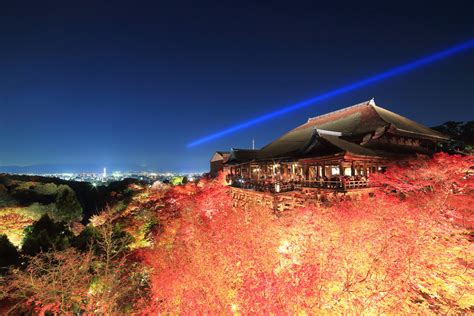 京都で贅沢な秋の夜を満喫しませんか京都の厳選秋のライトアップ名所をご紹介します caedeKyoto カエデ京都 紅葉と伝統美を引き継ぐバッグ