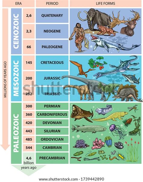 Esquema Del Tiempo Geologico Dinami