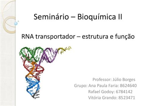 PDF Bioquímica II RNAt DOKUMEN TIPS