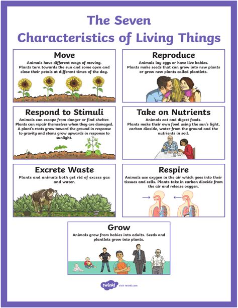 AU T2 E 280 Characteristics Of Living Things Display Poster Ver 3