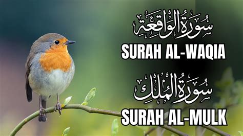 Surah Al Waqia سورة الواقعة Surah Al Mulk سورة الملك Beautiful