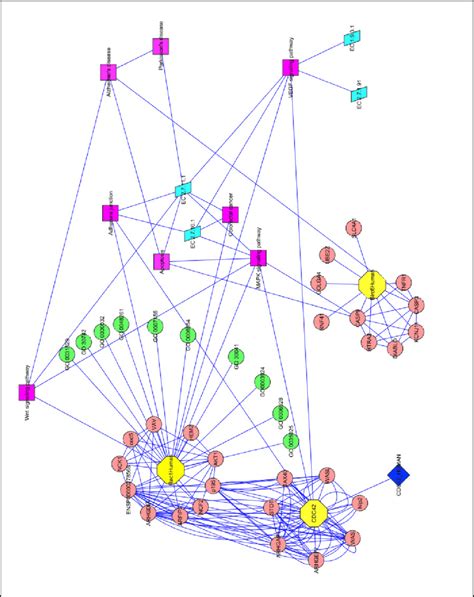 An Expanded Integrated Network Showing The Protein Protein Interaction