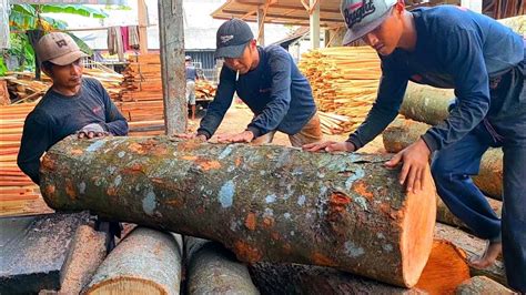 Si Merah Wujud Kayu Durian Berusia 50thn Digergaji Balok Bahan