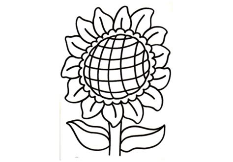 Los Mejores Dibujos De Girasoles Para Colorear Todo Para Colorear