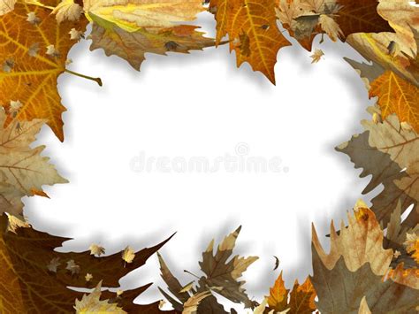 Leaves Border Frame Template Horizontal Rectangle Stock Illustrations