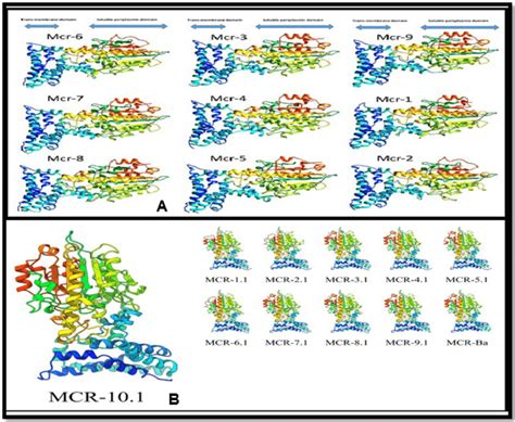 A All Published Structures Of Mcr Proteins Mcr To Mcr And Also