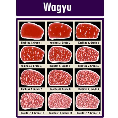 Ternak Sapi Wagyu Di Indonesia