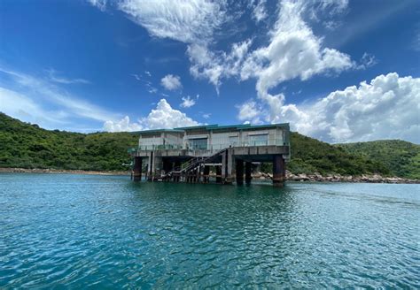 Royal Geographical Society Hong Kong RGS HK Field Trip Hoi Ha Wan