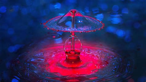 Water Splash Gogambar