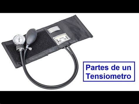 Partes Del Tensiometro Esfigmomanometro O Baumanometro Bien