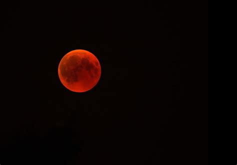 Qué es la luna de cosecha El Siglo de Torreón