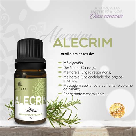 Descobrir 35 Imagem Oleo Essencial De Alecrim Para Sinusite Br